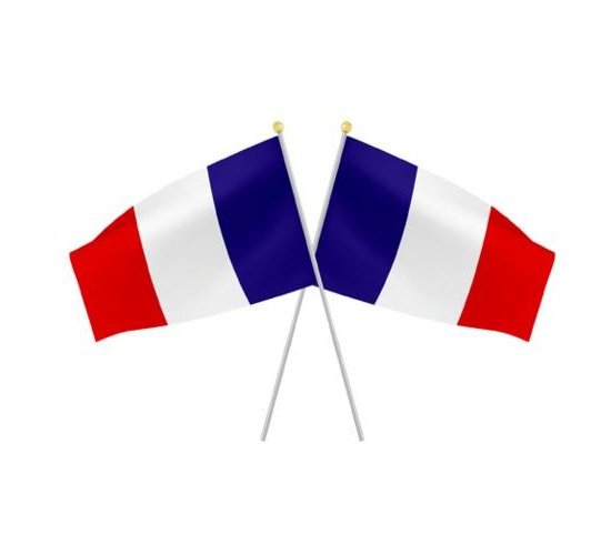 Drapeau français - 8566